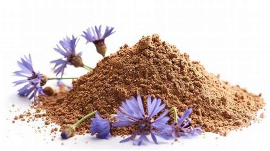 İnülin, Inulin, Alantin, Alant Nişastası, Yıldız Çiçeği, Chicory Inulin ...