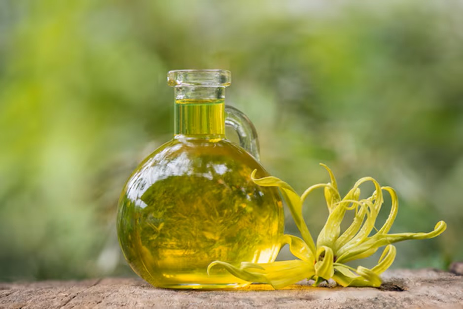YLANG YLANG OIL, Cananga odorata, 8006-81-3