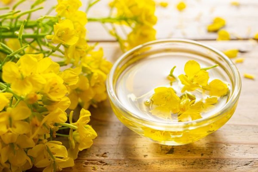 SOYA YAĞI, Soya Yağı, SOYA FASULYESİ YAĞI, Soya Fasülyesi Yağı, SOYBEAN ...